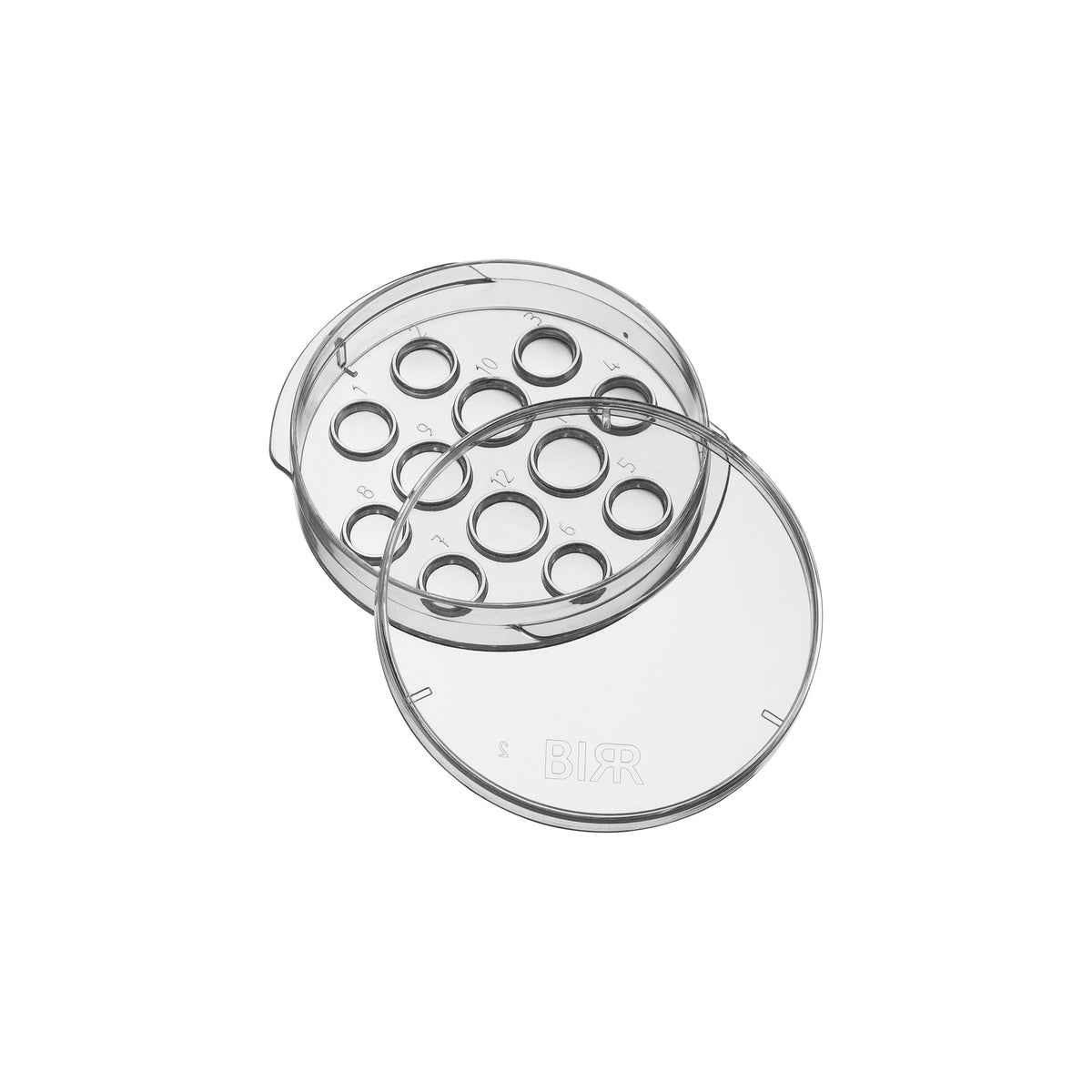 BIRR 4+8 Well Dish – Animal IVF Store